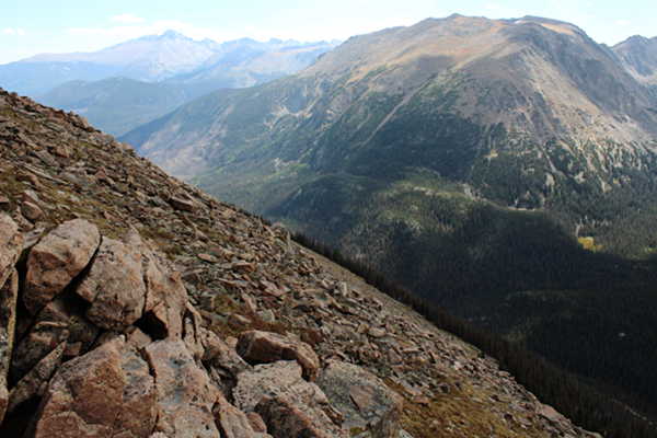 Lichens and Tundra above the Treeline - GJM Nature Media